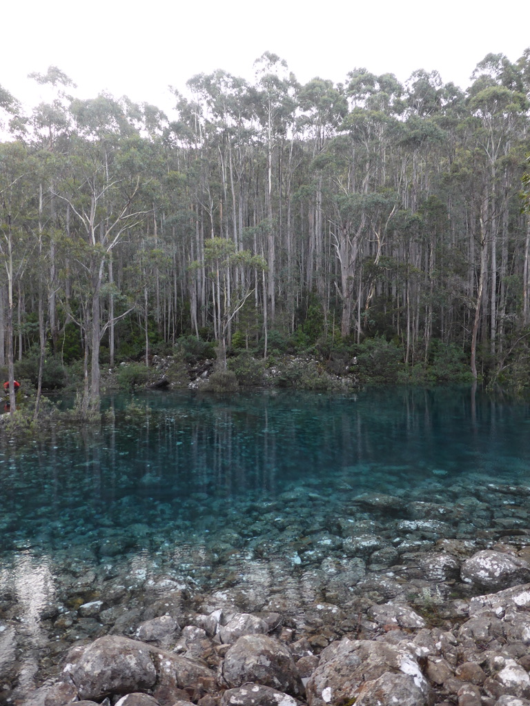 Disappearing Tarn – kunanyi/Mt Wellington – June 2020 – Wandering Tasmania